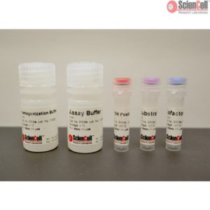 Sciencell Enzyme Activity Assay Kit - Team Medical & Scientific Sdn Bhd