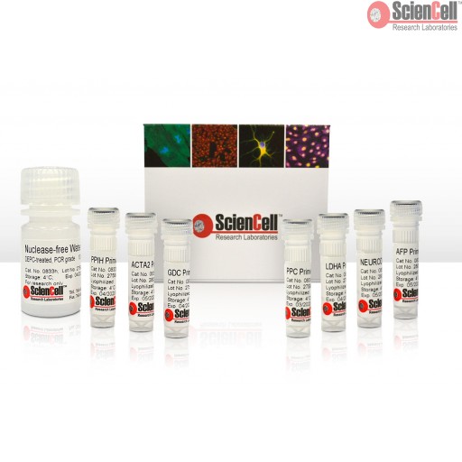 Sciencell Kit for Stem Cell Research - Team Medical & Scientific Sdn Bhd